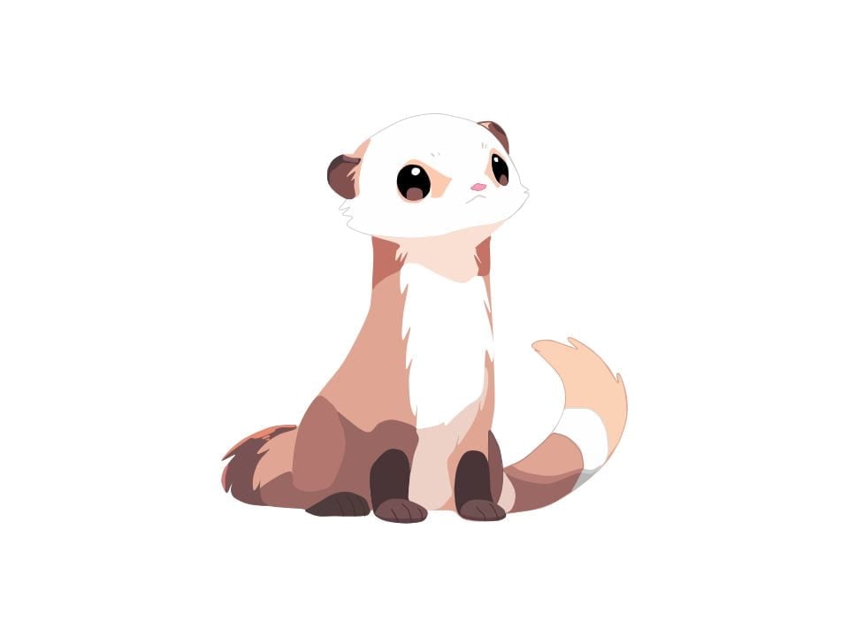 Ferret ( Reading ) – Angelo @ Panmure Bridge School